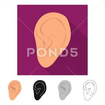 Vector illustration of body and part sign. Set of body and anatomy ...