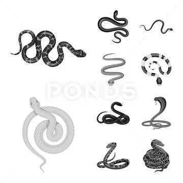 Vector illustration of harm and bite symbol. Collection of harm and ...