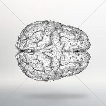 Vector illustration human brain. The structural grid of polygons ...