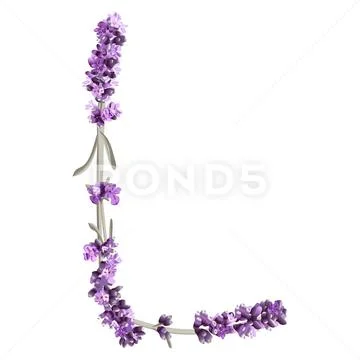 Vector image of the capital letter L of the English alphabet in the ...