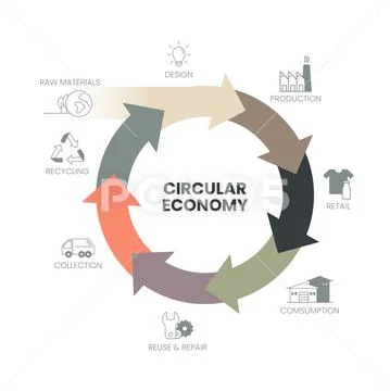 The vector infographic diagram of the circular economy concept has 3 ...