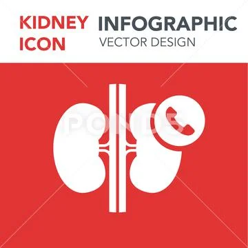 Kidneys Infographics Pictures Photos And Images For Facebook Tumblr