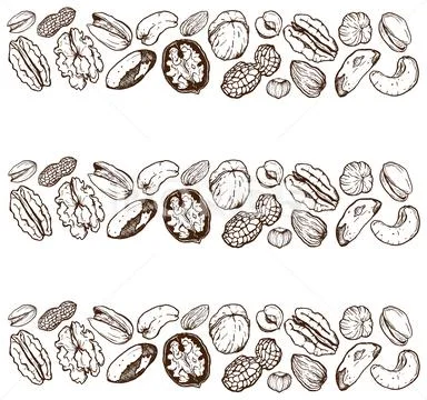 Vector line art big border composition of mix nuts. Hand painted ...