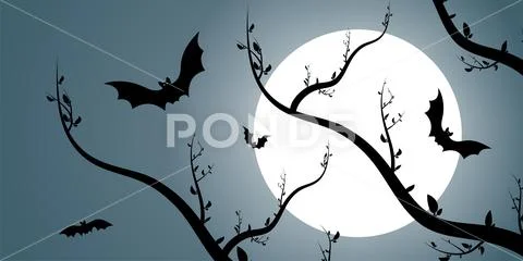 Vector. Night, full moon and bats, branches, horizontal background ...