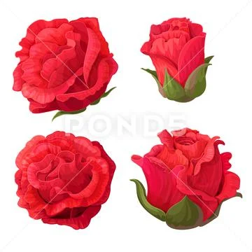 Vector rose flower clip art Stock Illustration ~ #127102828