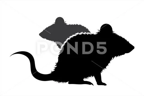 Vector silhouette of couple of mouse. Symbol of rodent.: Royalty Free ...
