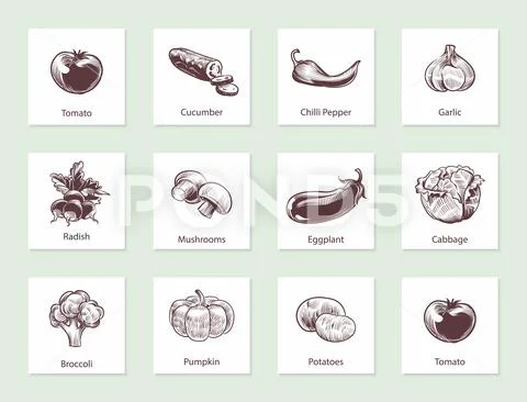 Vegetables slide set. Templates for label design with hand drawn linear ...