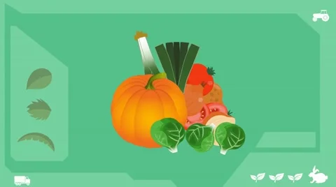 Vegetables - Vector Graphics - Food Ani... | Stock Video | Pond5