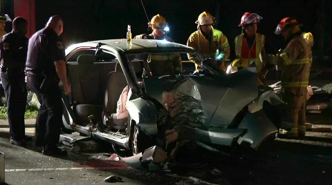 Vehicle vs Palm Tree | Stock Video | Pond5