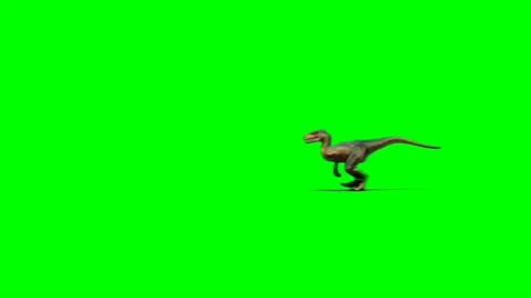 Velociraptor Attacking on Green Screen 0... | Stock Video | Pond5