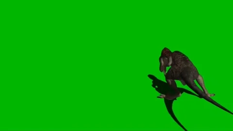 Velociraptor Attacking on Green Screen 0... | Stock Video | Pond5