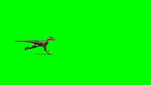 Velociraptor Attacking on Green Screen | Stock Video | Pond5