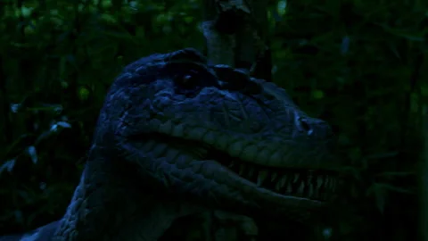 VELOCIRAPTOR Dinosaur at Night | Stock Video | Pond5
