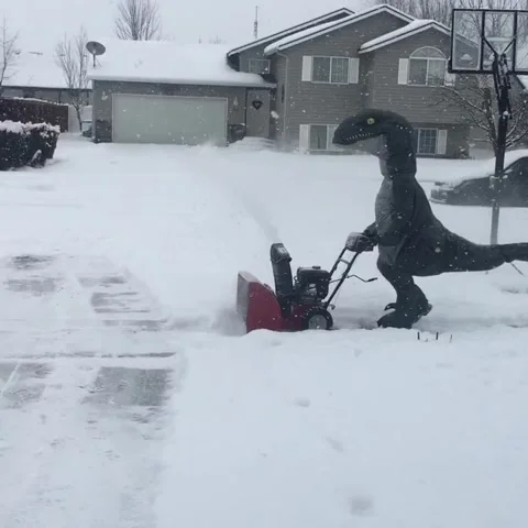 Velociraptor Fights Ice Age One Driveway... | Stock Video | Pond5