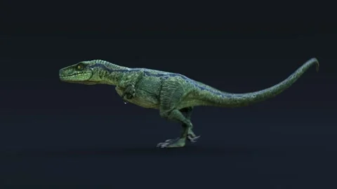 Run Cycle Stock Video Footage | Royalty Free Run Cycle Videos | Pond5