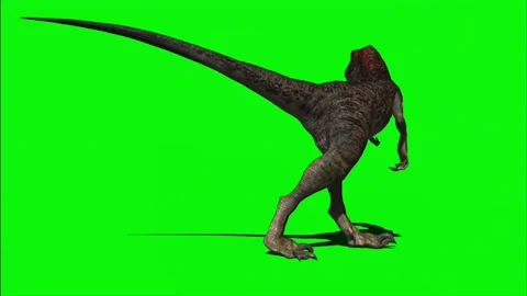 Velociraptor Roaring on Green Screen 07 | Stock Video | Pond5