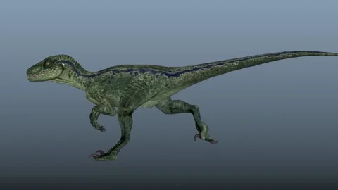Velociraptor run | Stock Video | Pond5