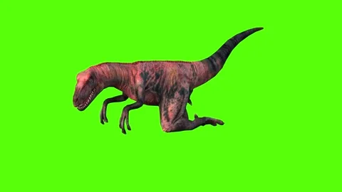 Velociraptor Sleeping Animation Green Sc... | Stock Video | Pond5