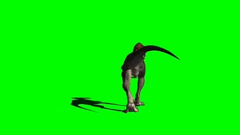 Velociraptor Walking on Green Screen 11 | Stock Video | Pond5