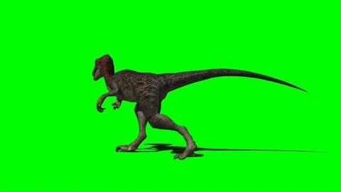 Velociraptor Walking on Green Screen 17 | Stock Video | Pond5