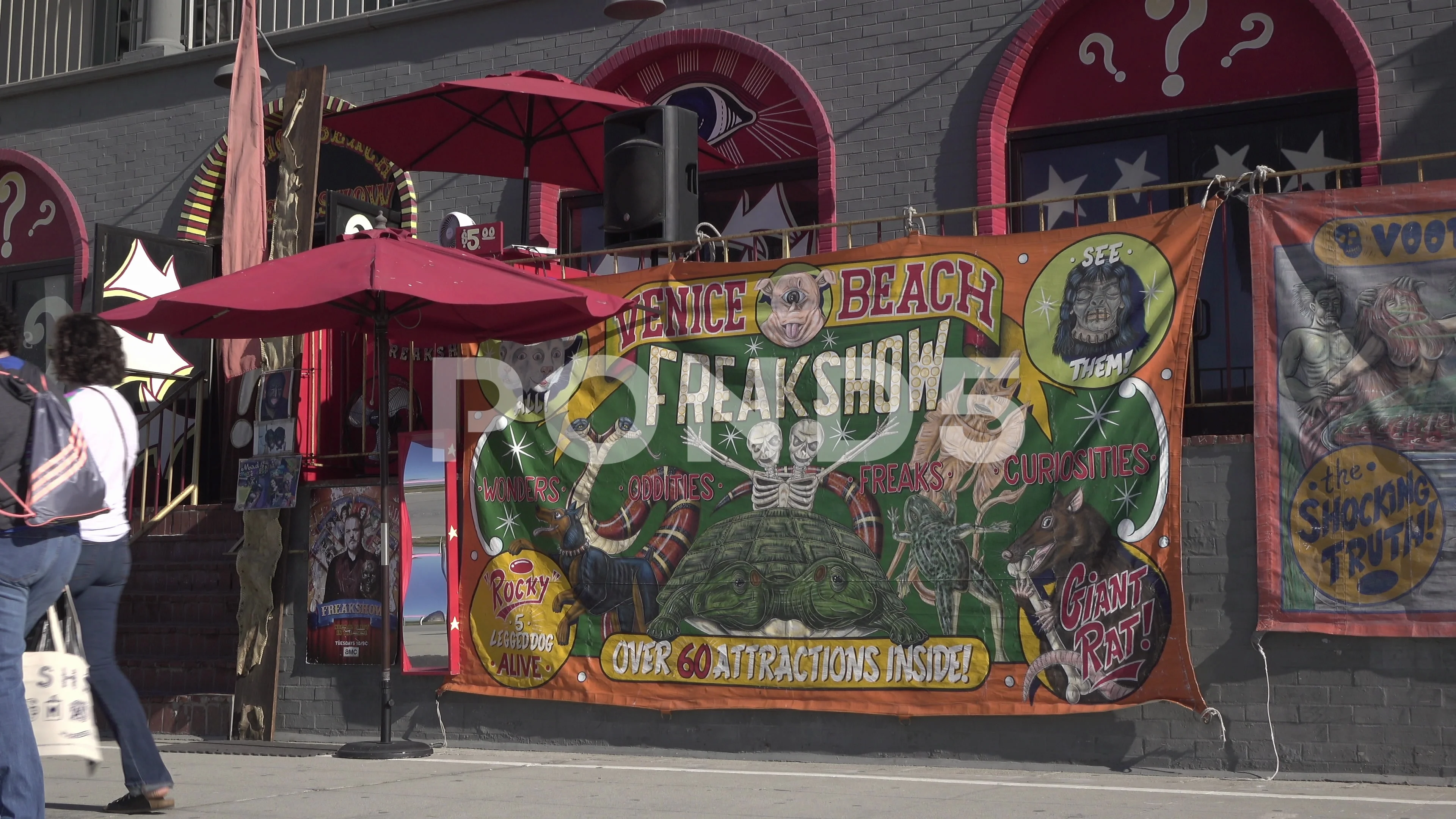 Venice Freak Show The Freak Show At Venice Beach Was Amazing. It Was