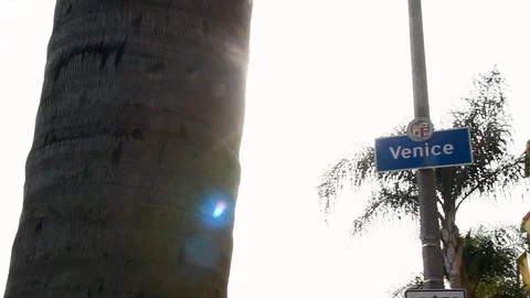 Venice sign_lens flares, palm trees and ... | Stock Video | Pond5