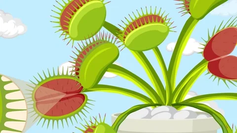 Venus Fly Trap Stock Video Footage | Royalty Free Venus Fly Trap Videos ...