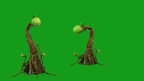 Venus flytrap motion graphics with green... | Stock Video | Pond5