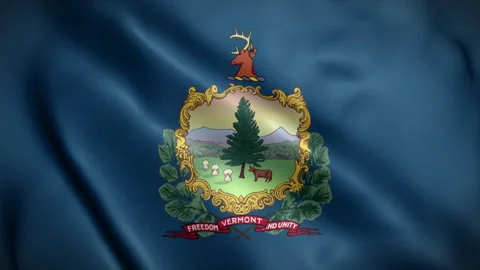 Vermont flag background realistic waving... | Stock Video | Pond5