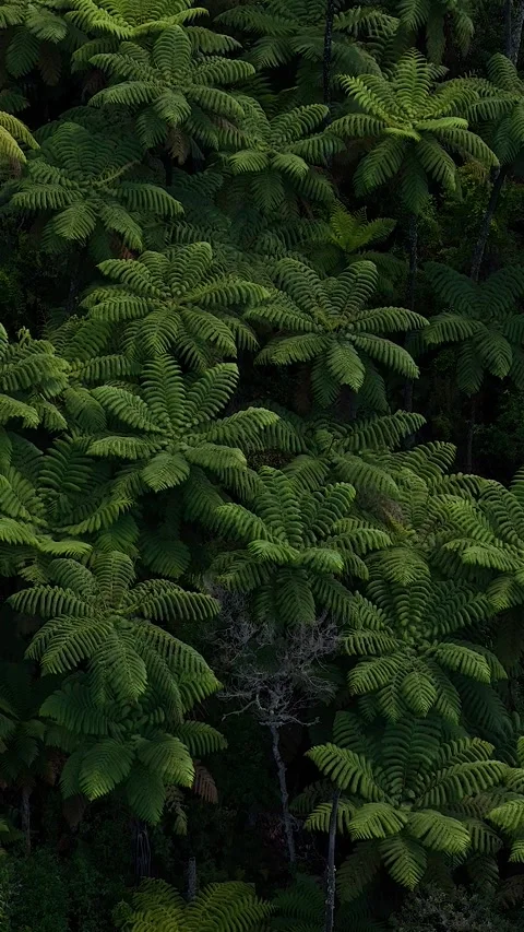 Vertical Stills Stock Video Footage | Royalty Free Vertical Stills ...