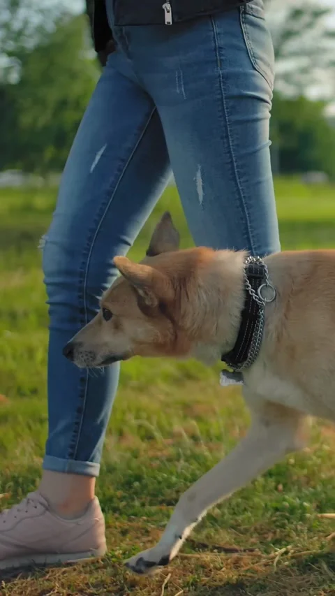 Mistressfree Stock Videos – Royalty-Free HD & 4K Videos