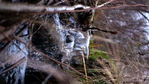 Vertical filming of a natural waterfall ... | Stock Video | Pond5