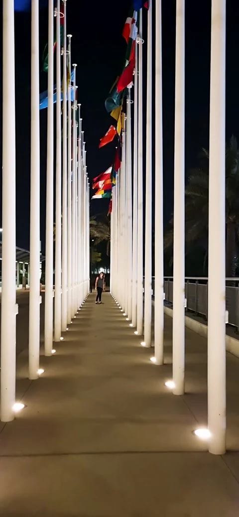 Vertical footage of the flags of various... | Stock Video | Pond5