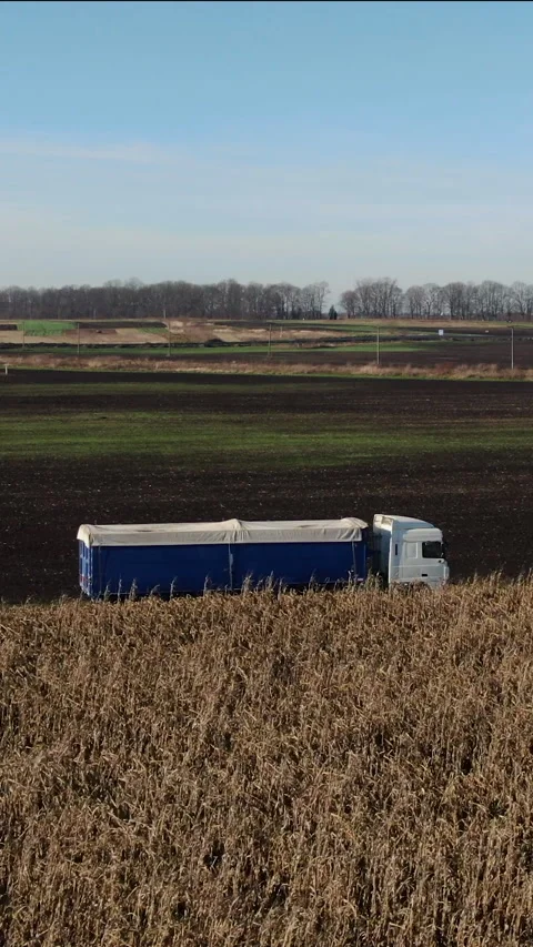 Semmi A Video Stock Videos – Royalty-Free HD & 4K Videos