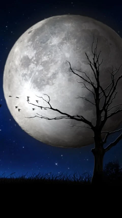 Vertical Full Moon Night Sky Silhouette ... | Stock Video | Pond5