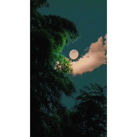 Vertical of the full moon shining in the... | Stock Video | Pond5