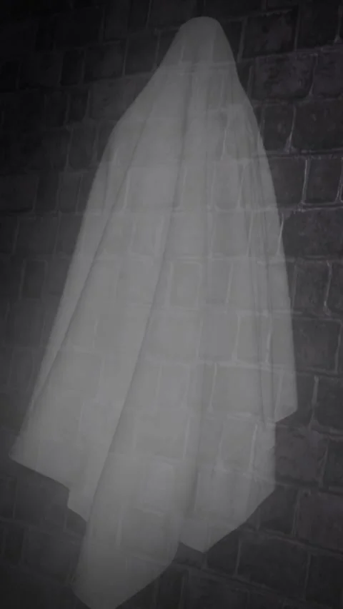 Brick Wall Loop Stock Footage ~ Royalty Free Stock Videos | Pond5