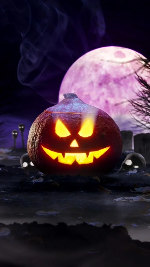 Jack Moon Stock Videos – Royalty-Free HD & 4K Videos