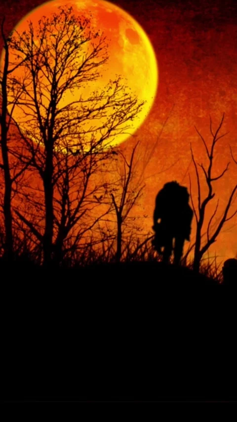 Vertical Haunted Graveyard Sunset Backgr... | Stock Video | Pond5