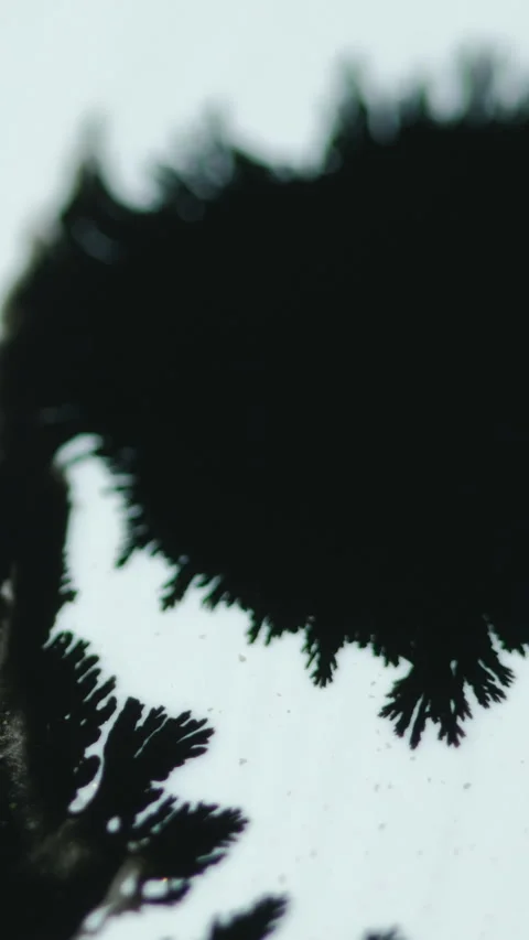 Vertical Ink drop paint splatter black s... | Stock Video | Pond5