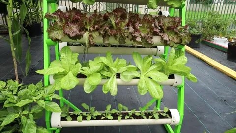 Experiment Station Stock Videos – Royalty-Free HD & 4K Videos