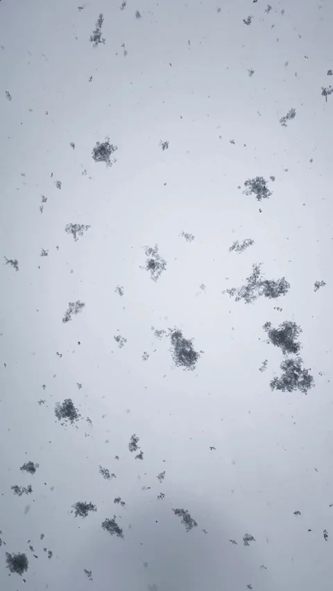 Live Storm Video Stock Videos – Royalty-Free HD & 4K Videos | Pond5