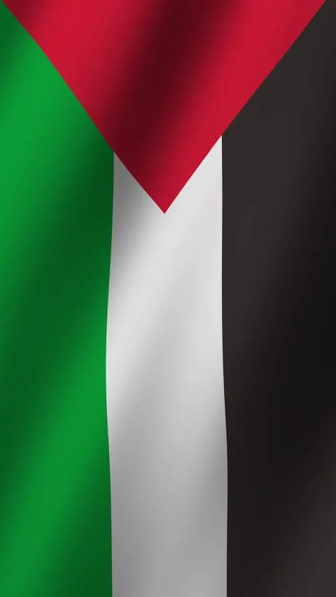 Vertical Palestine Flag footage video wa... | Stock Video | Pond5