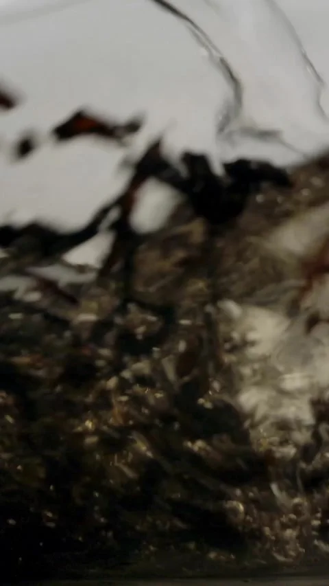 Vertical of Pouring clean boiling water ... | Stock Video | Pond5