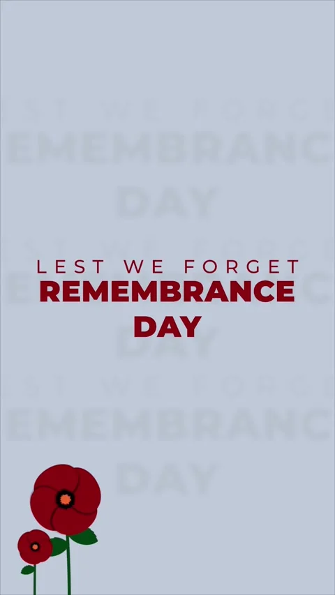 Vertical Remembrance Day Animation | Stock Video | Pond5