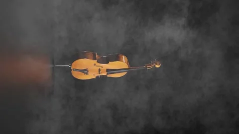 Vertical render of cello upright with re... | Stock Video | Pond5