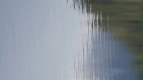Vertical - Ripples in the water body mov... | Stock Video | Pond5