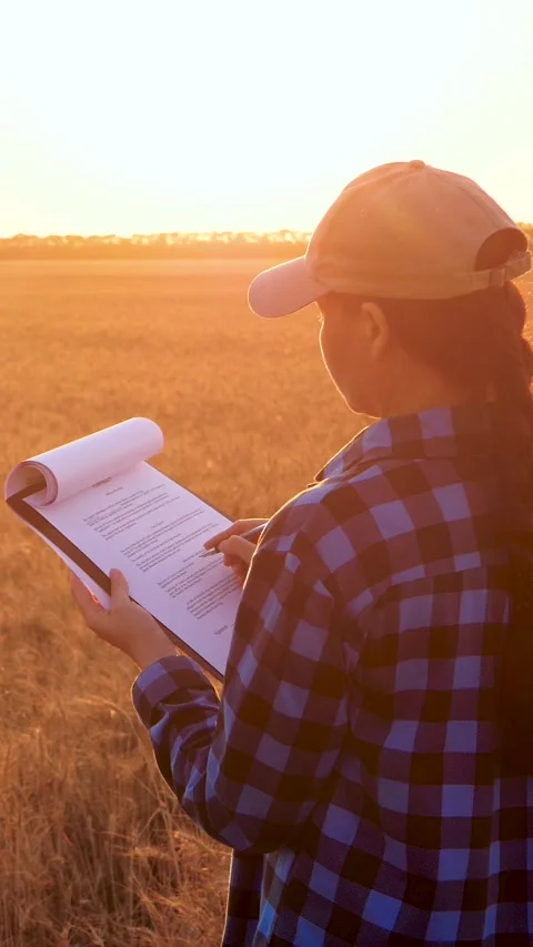 Screen Av111Fe Stock Videos – Royalty-Free HD & 4K Videos | Pond5