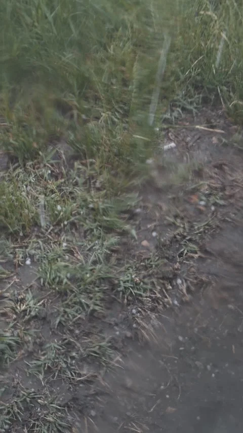 Vertical Screen Rain drops on mud puddle... | Stock Video | Pond5