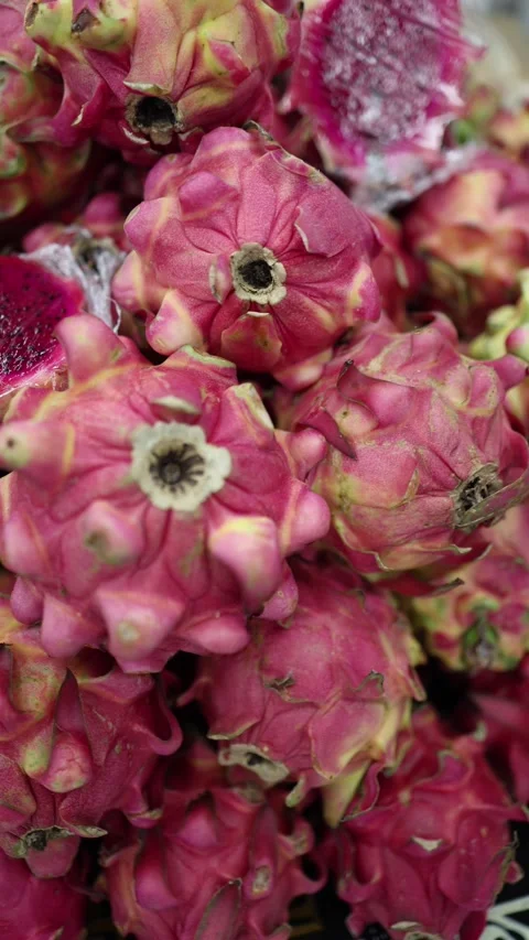 Vertical Dragon Stock Videos – Royalty-Free HD & 4K Videos